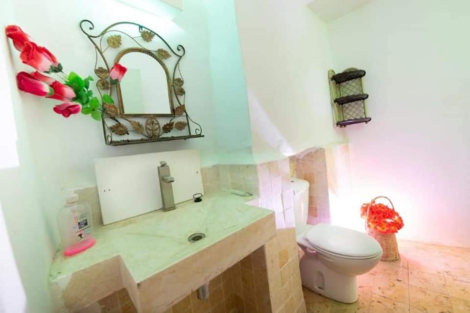 Dana star, Dana (updated prices 2024)