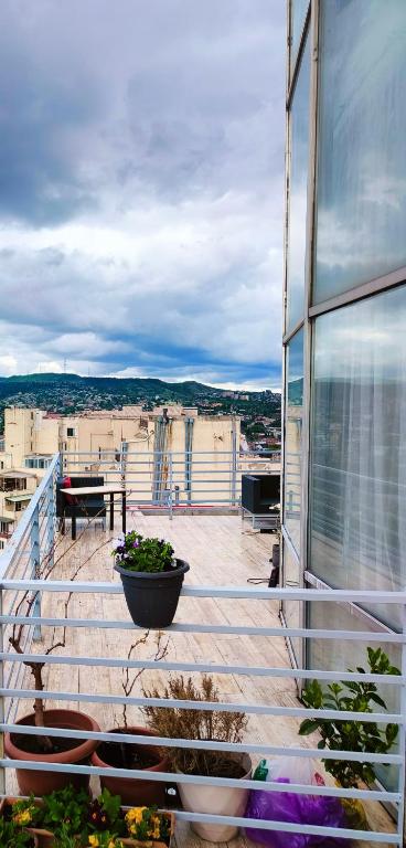 Roof top, Tbilisi City (updated prices 2026)