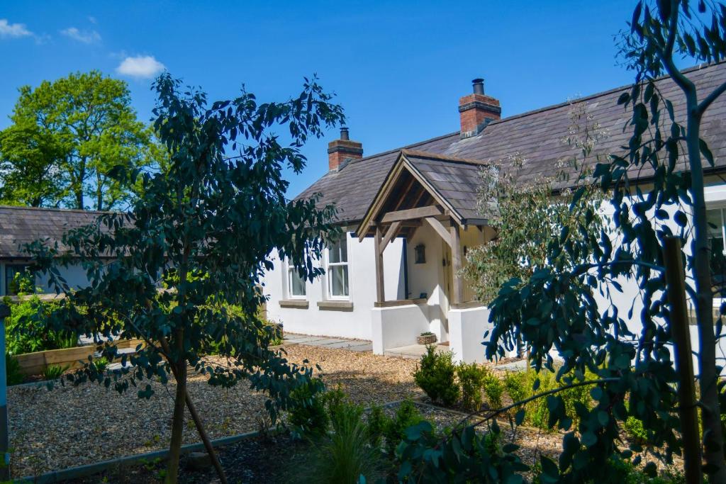 Luxury Croft Templepatrick Near Airport Rabbit and Hilton hotel ...