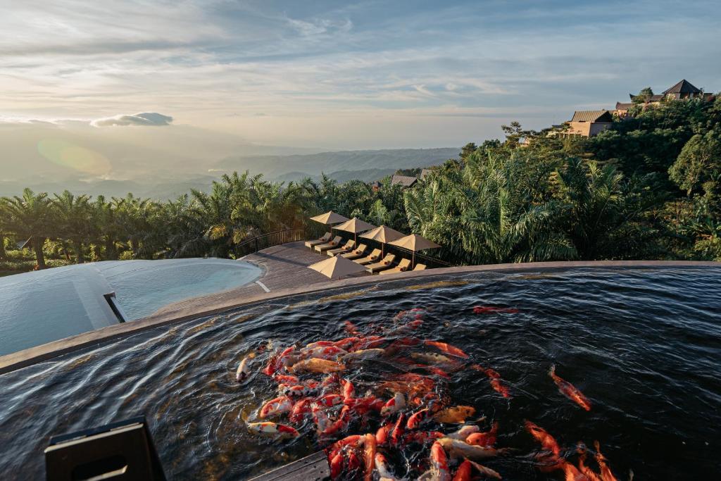 Elevate Bali, Munduk (updated prices 2025)
