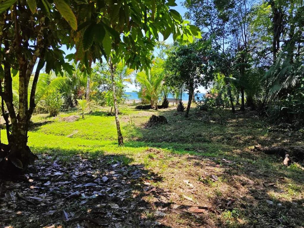 Selva Azul, Nuquí (preços atualizados para 2025)