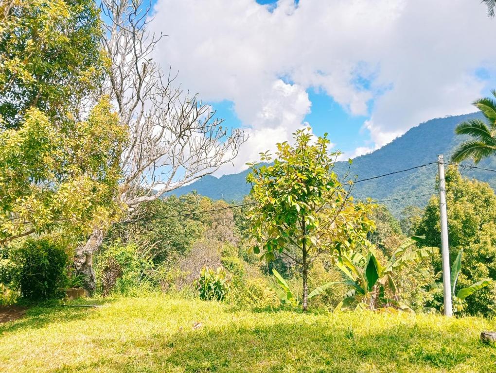 Jepun Homestay Lemukih, Singaraja (updated prices 2025)