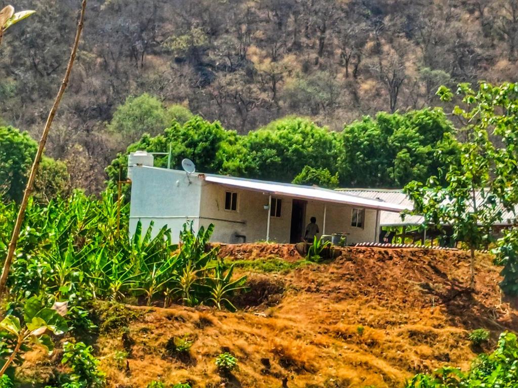 Walayar Wild forest stay by Shivalaya TN&KL State border, Alāndurai ...