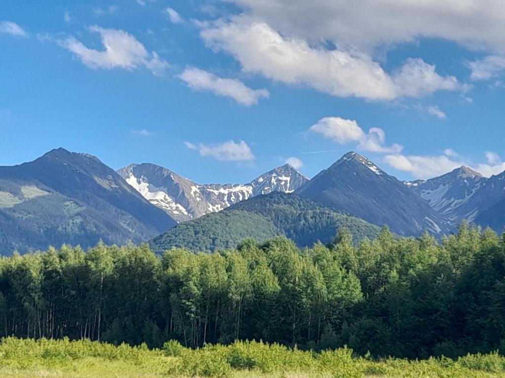 CASA FLOARE DE COLT, Stațiunea Climaterică Sâmbăta (precios ...
