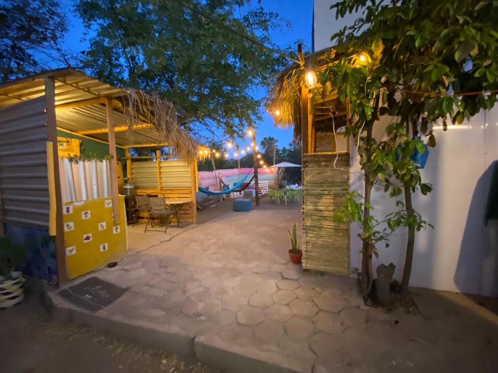 Aloha Surf Hostel, San José del Cabo (updated prices 2026)