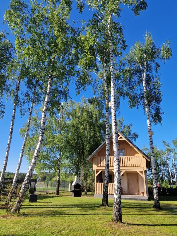 Wiele Żurawi, Wiele (aktualisierte Preise für 2026)