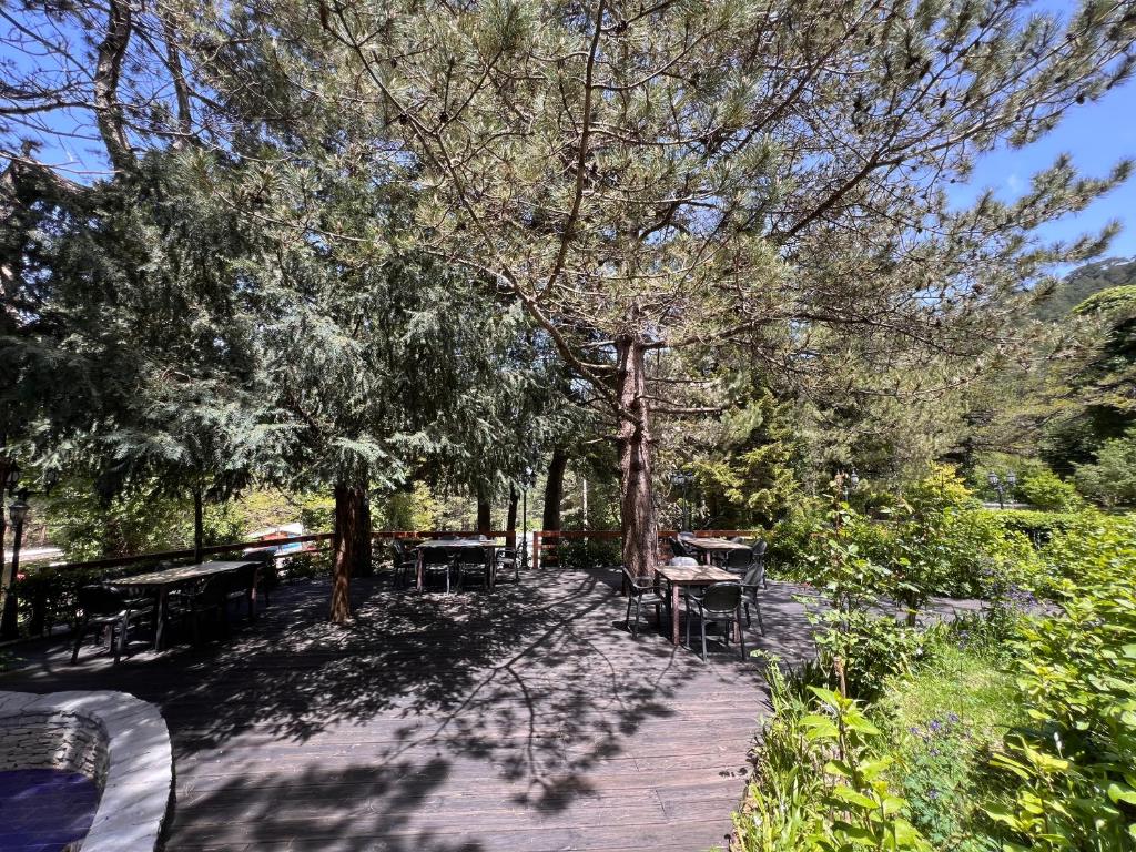 Hotel Alpin Llogara, Llogara (updated prices 2025)