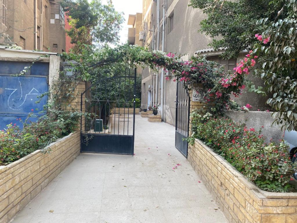 Mahitab music, Cairo (updated prices 2026)