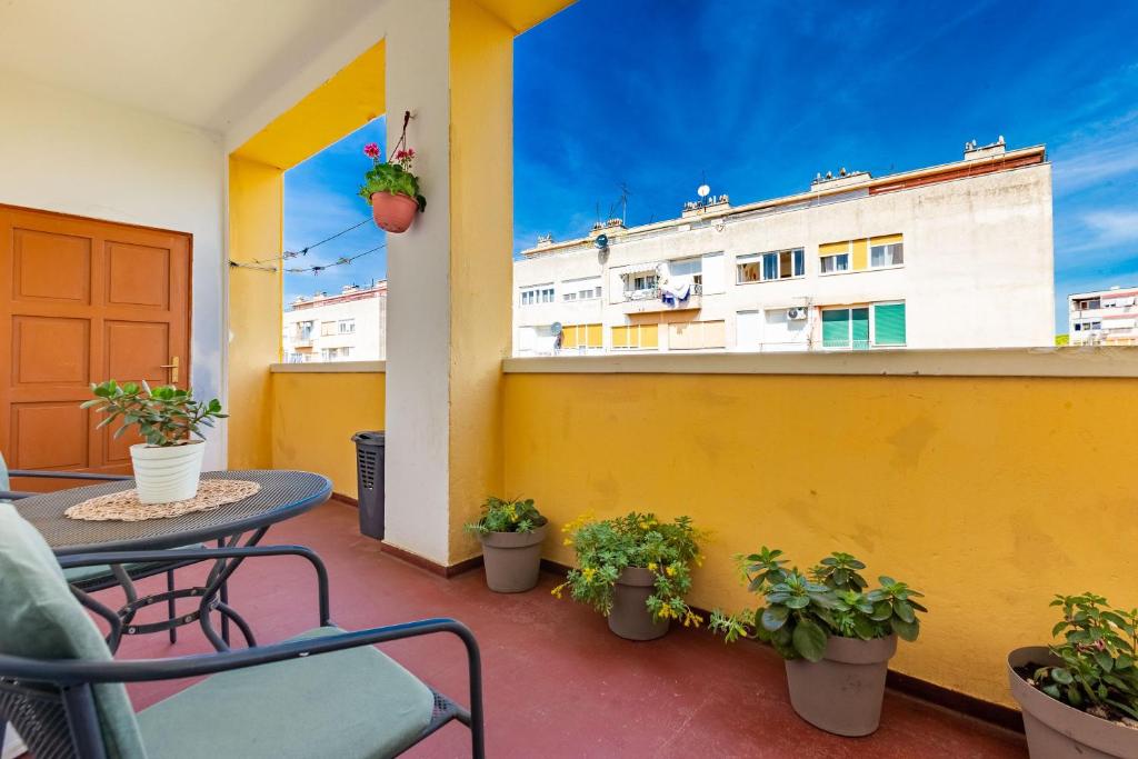 Petra Populare apartment, Zadar (updated prices 2026)