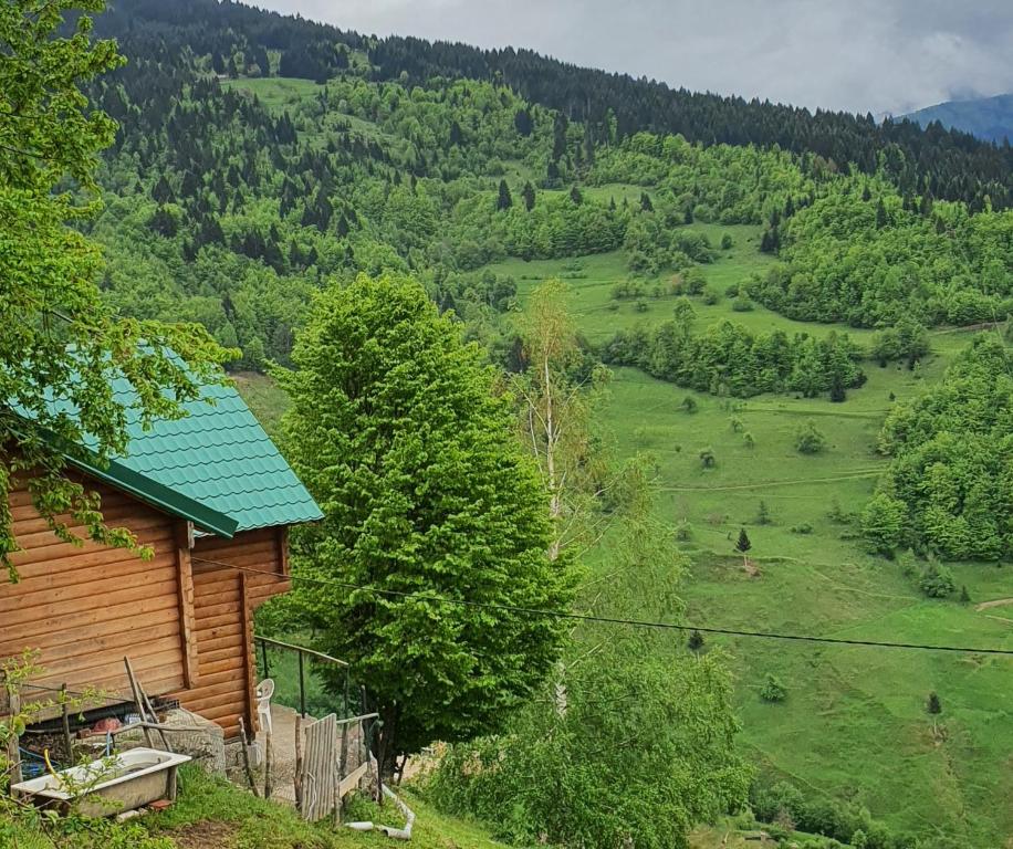 Panorama, Plav (precios actualizados 2025)