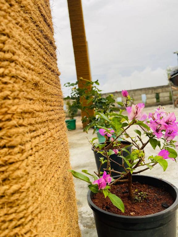 Niwahana Lodge, Welimada (updated prices 2025)