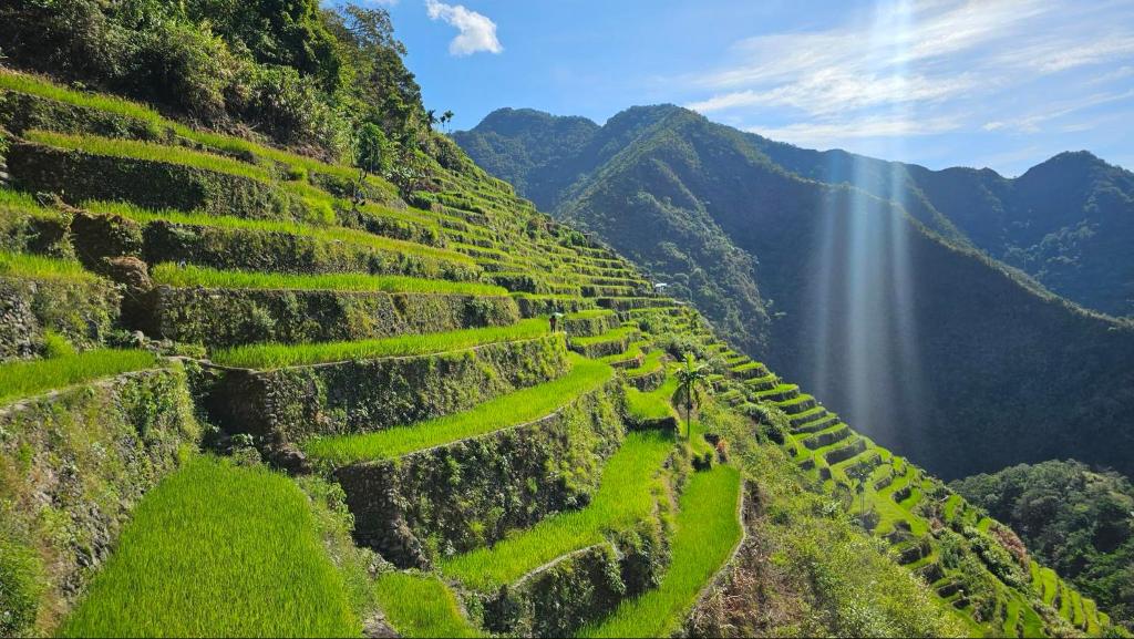 Batad Pension and Restaurant, Banaue (updated prices 2025)
