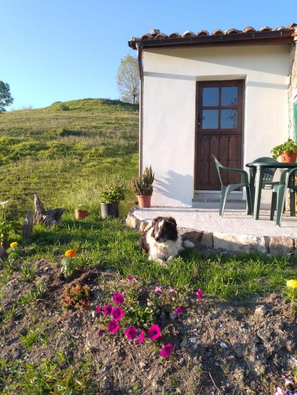 Casa El Collau I, La Frecha (precios actualizados 2025)