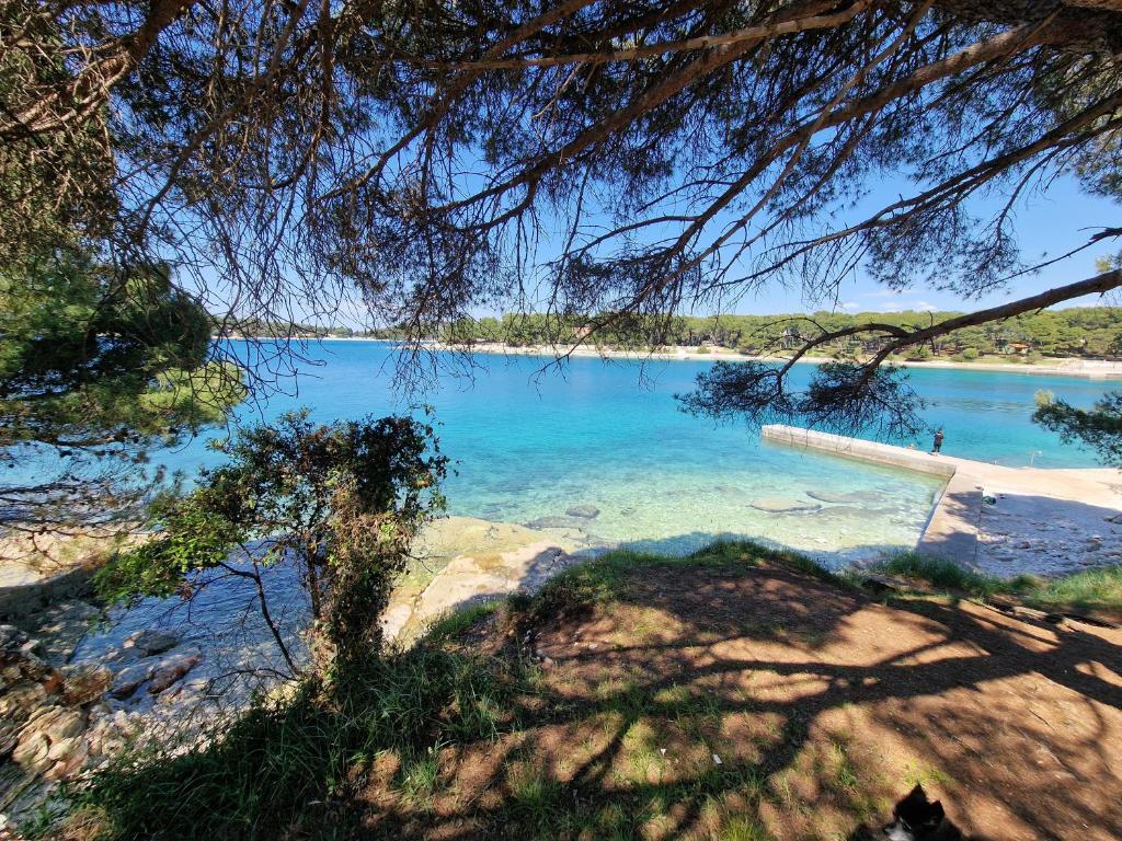 Paradise, Pula (updated prices 2024)