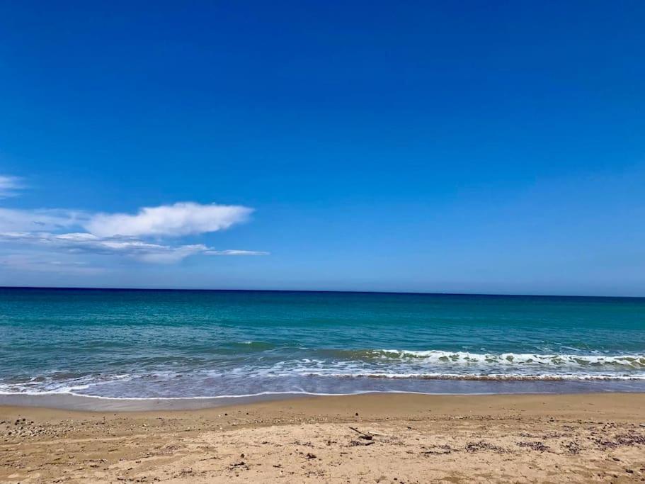 Las Dunas Playa Premium, Denia (updated prices 2024)