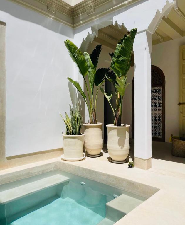 Riad lunja, Marrakech (updated prices 2025)