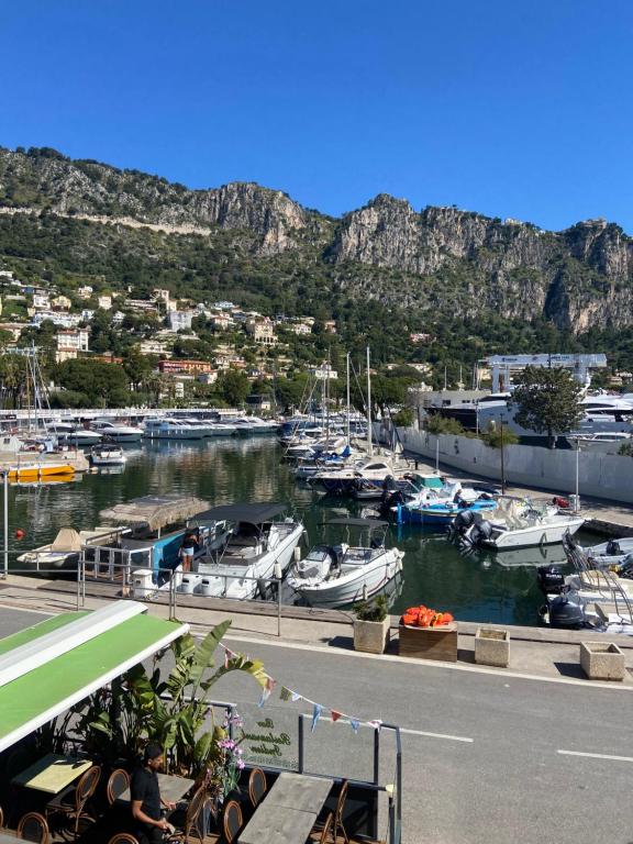 Surplombant le port de Beaulieu sur mer, Beaulieu-sur-Mer – Updated ...