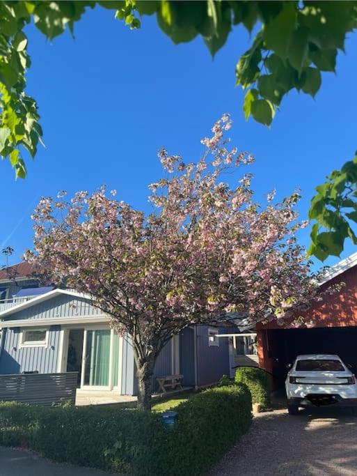 Hus i Varberg Breared, Varberg (updated prices 2025)