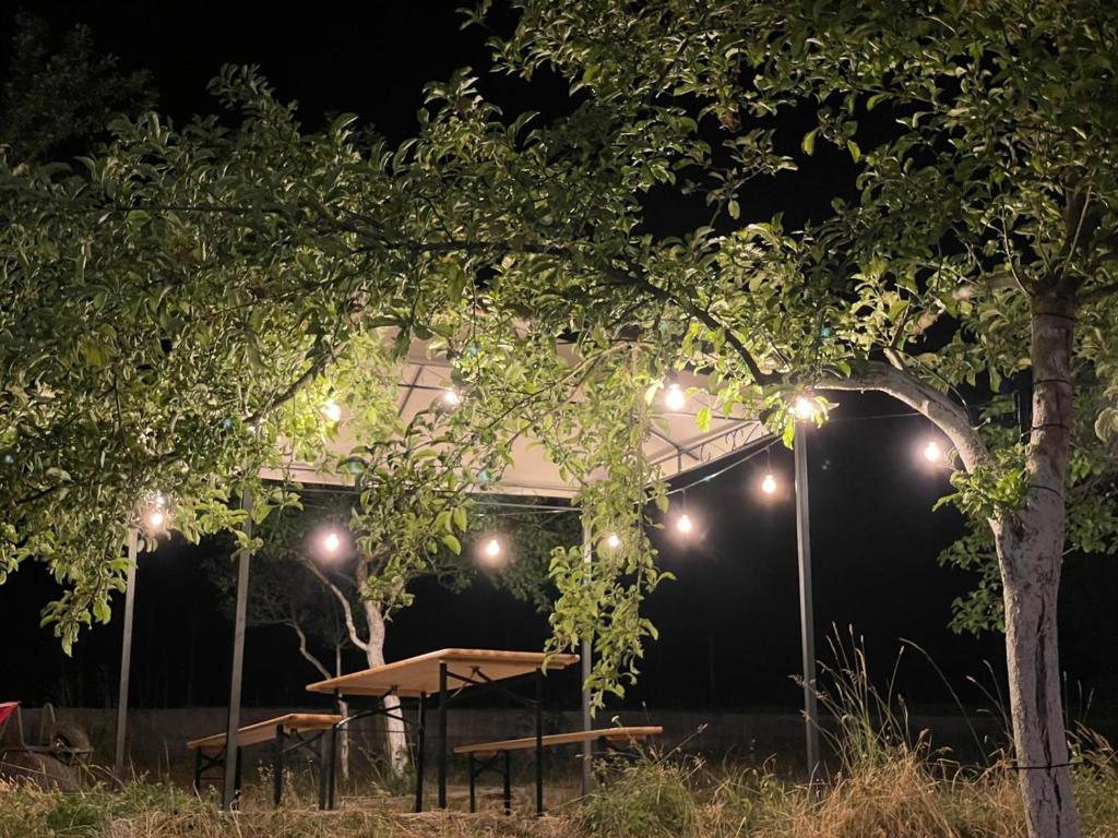 Heaven Retreat, Vusanje (updated prices 2026)