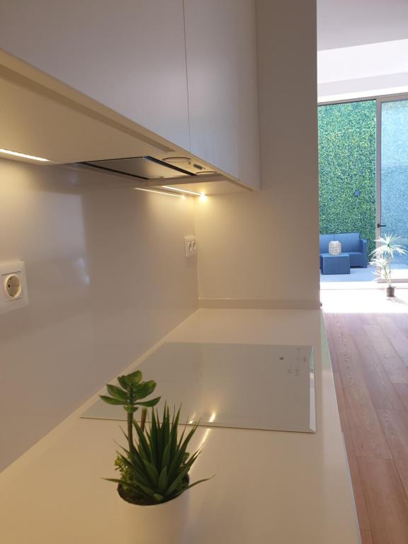 Oasis 28, Lisbon (updated prices 2025)