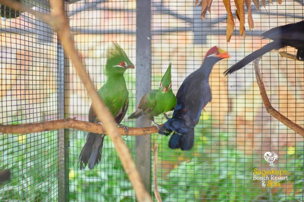 Sogakope Beach Resort & Spa, Sogakofe (updated prices 2025)