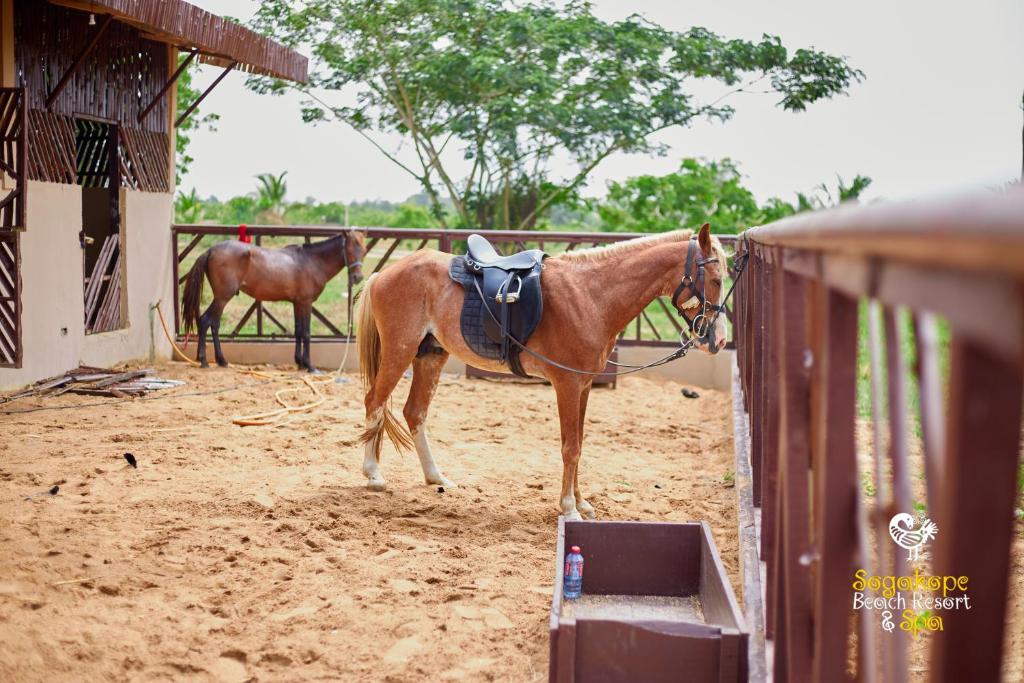 Sogakope Beach Resort & Spa, Sogakofe (updated prices 2025)