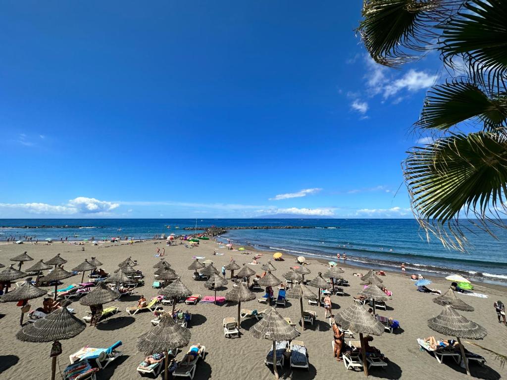 Torres de Yomely - M13E, Playa de las Americas (updated prices 2025)