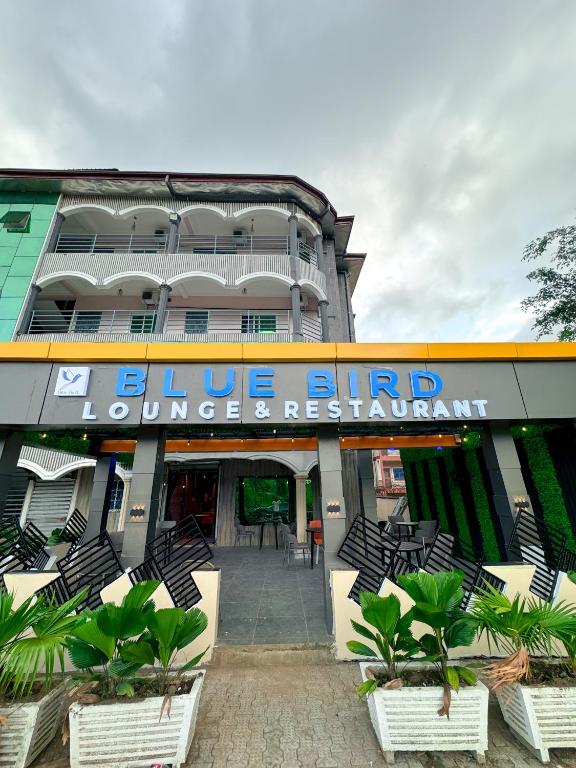 Blue Bird Guest House & Lounge, Mokunda (prezzi aggiornati per il 2024)