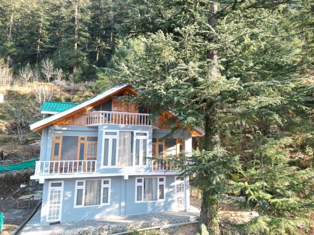 dada cottages, Jibhi (updated prices 2026)
