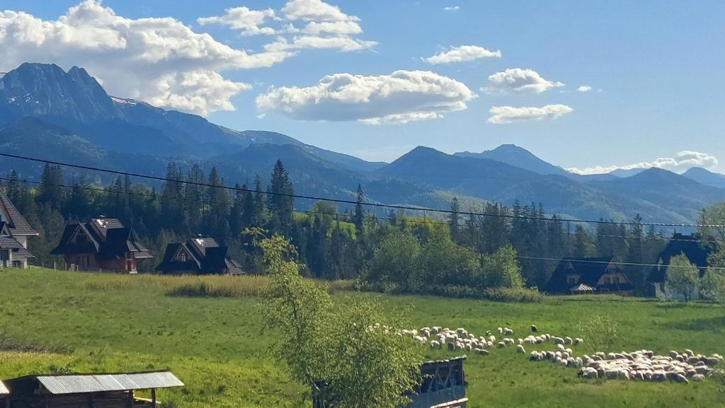 Hrube DOMKI Zakopane, Zakopane (updated prices 2025)