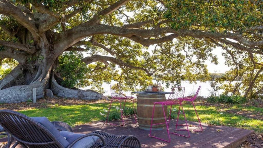Fig Tree Farm Cottage - Riverfront Retreat On The Manning River ...