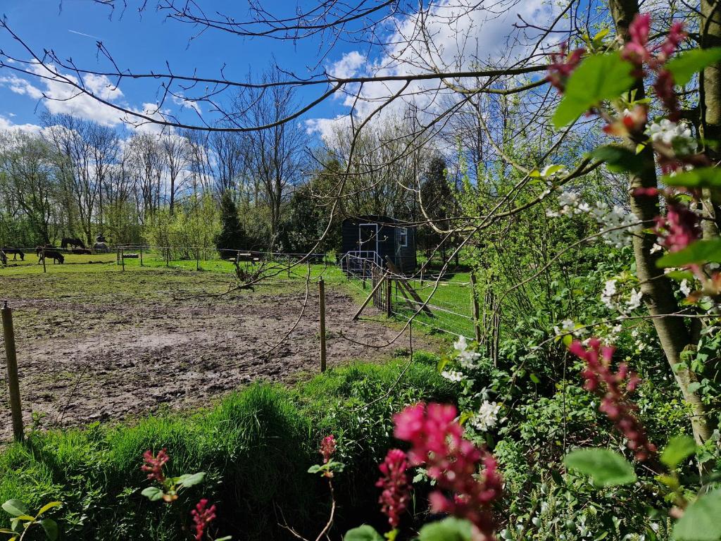 Pipo keetje Pip, Kropswolde (updated prices 2025)