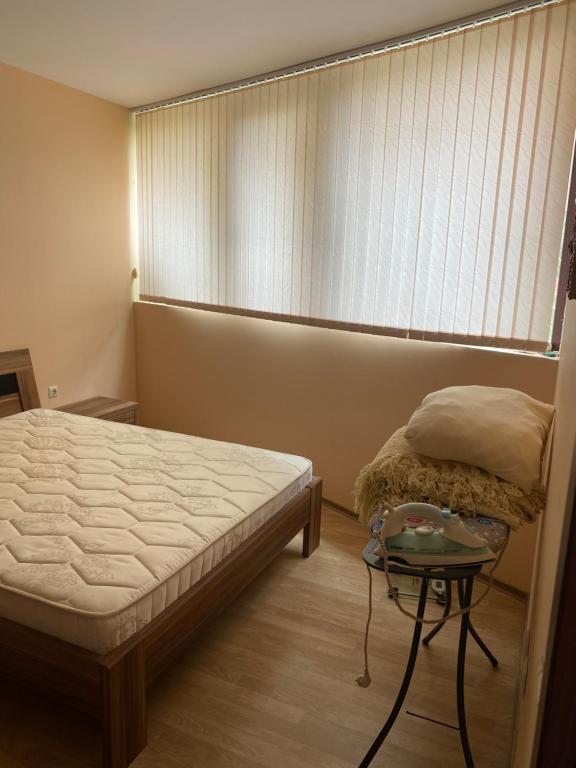 Antal MP, Sunny Beach (updated prices 2025)