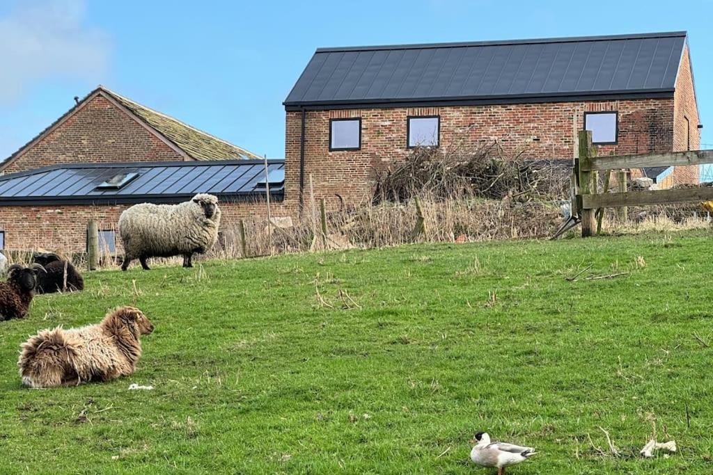 The Hayloft, Modern 4 Bed, 8 person, Barn Conversion in a Rural ...