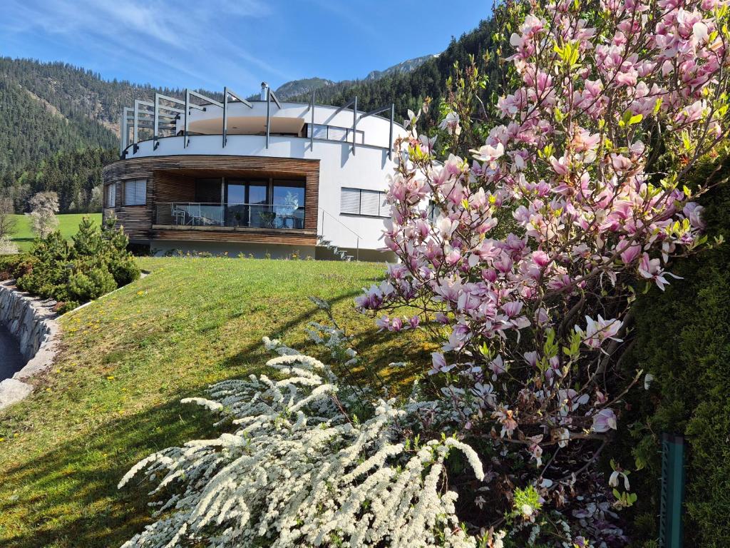 Moderner Wohnraum A1 - Apartment mit Parkplatz, Saalfelden am ...