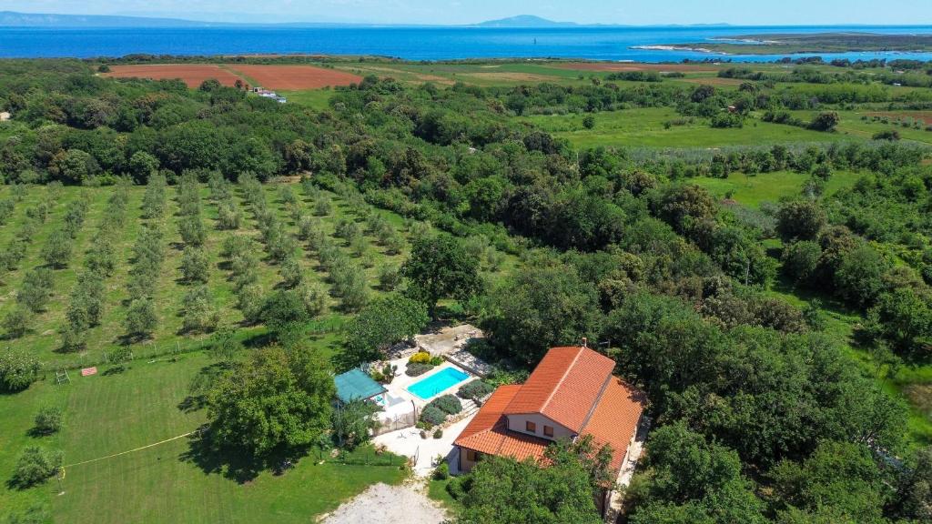 Vila Palera, Ližnjan (updated prices 2026)