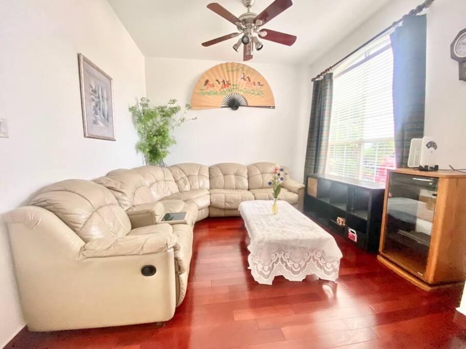 Lovely House in Plano, Plano (updated prices 2026)