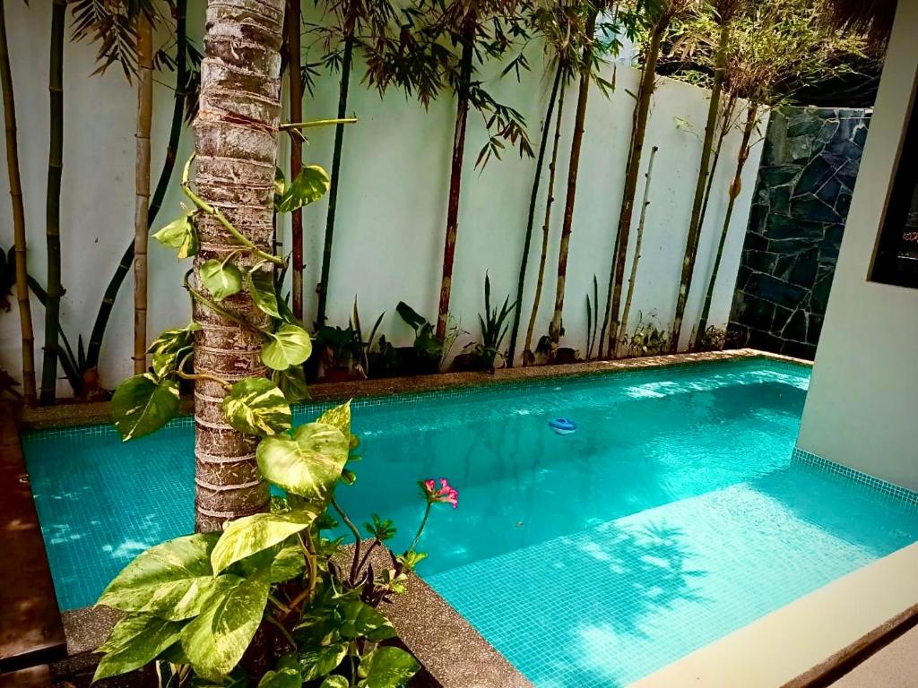 Villa Oasis deLux • Alberca privada, Brisas de Zicatela (updated prices ...
