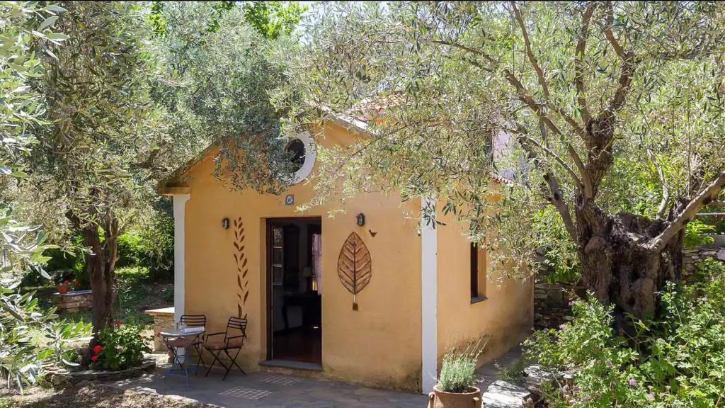 Charming villa in an olive grove with pool, Skopelos Town (updated ...