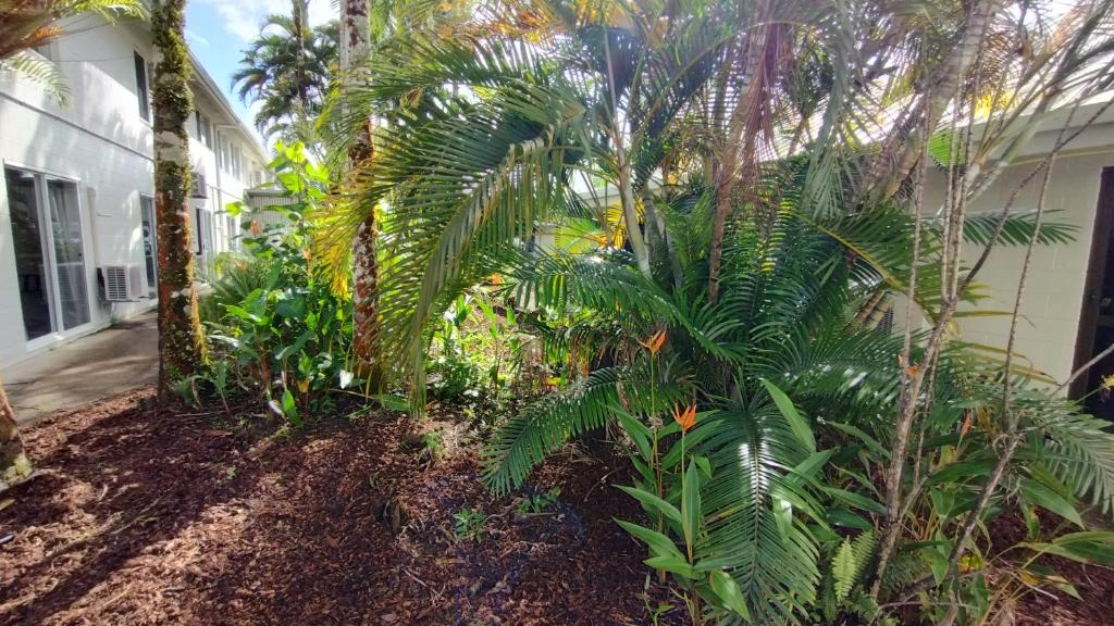 Tully Motel, Tully (updated prices 2025)