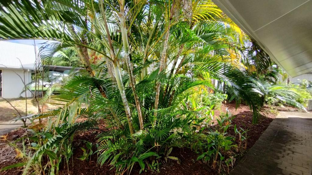 Tully Motel, Tully (updated prices 2025)