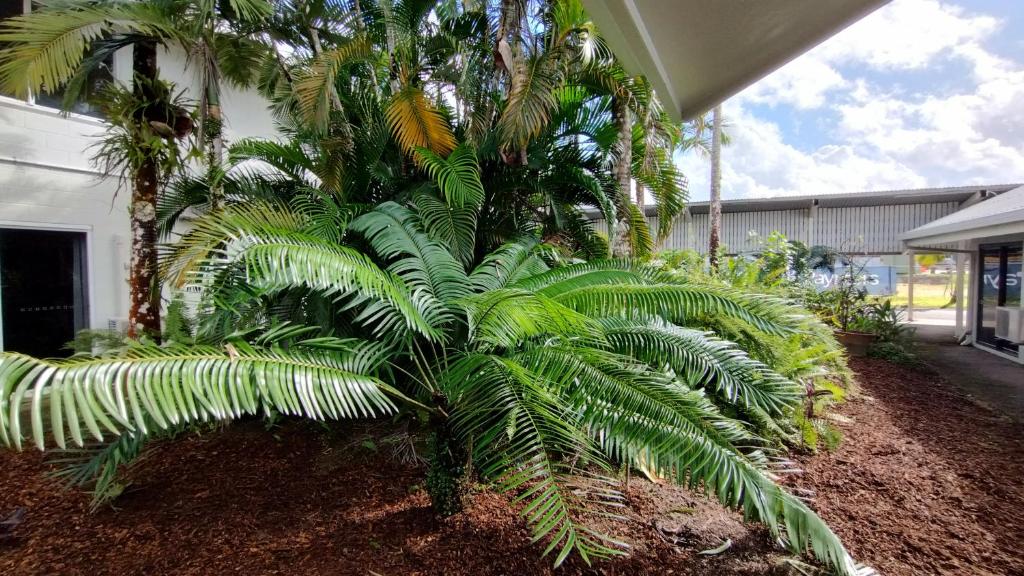 Tully Motel, Tully (updated prices 2025)