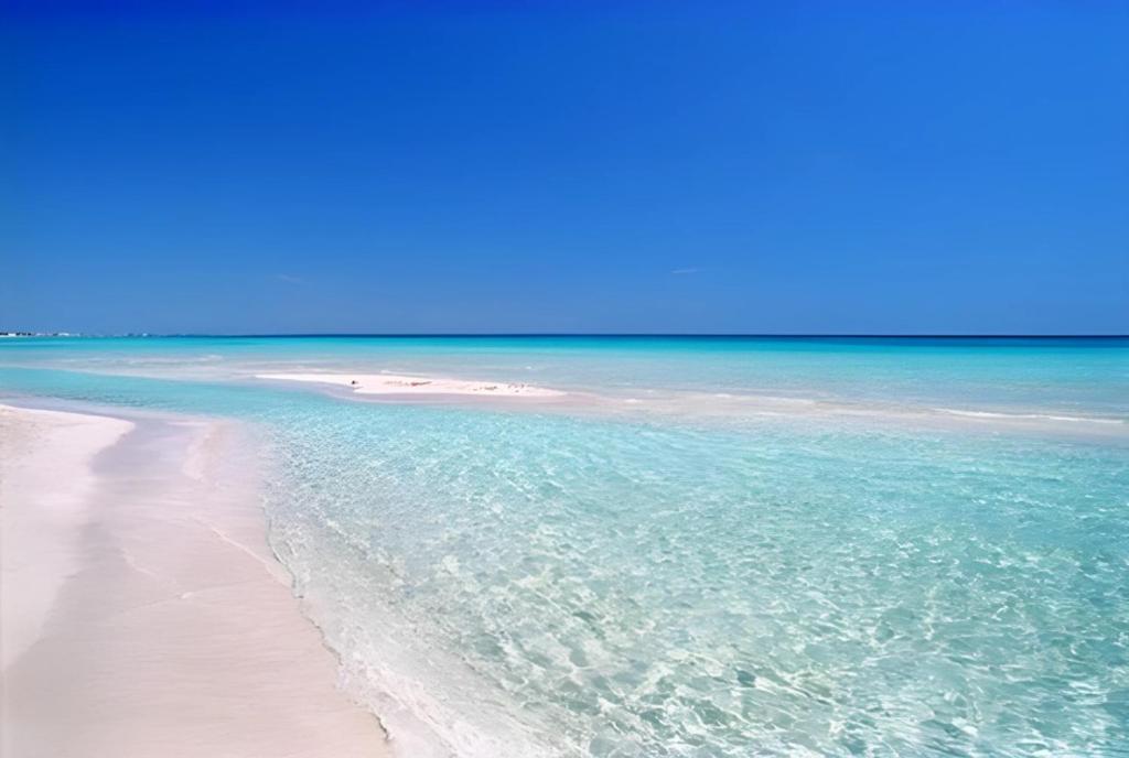 Stella Marina, San Pietro in Bevagna (updated prices 2024)