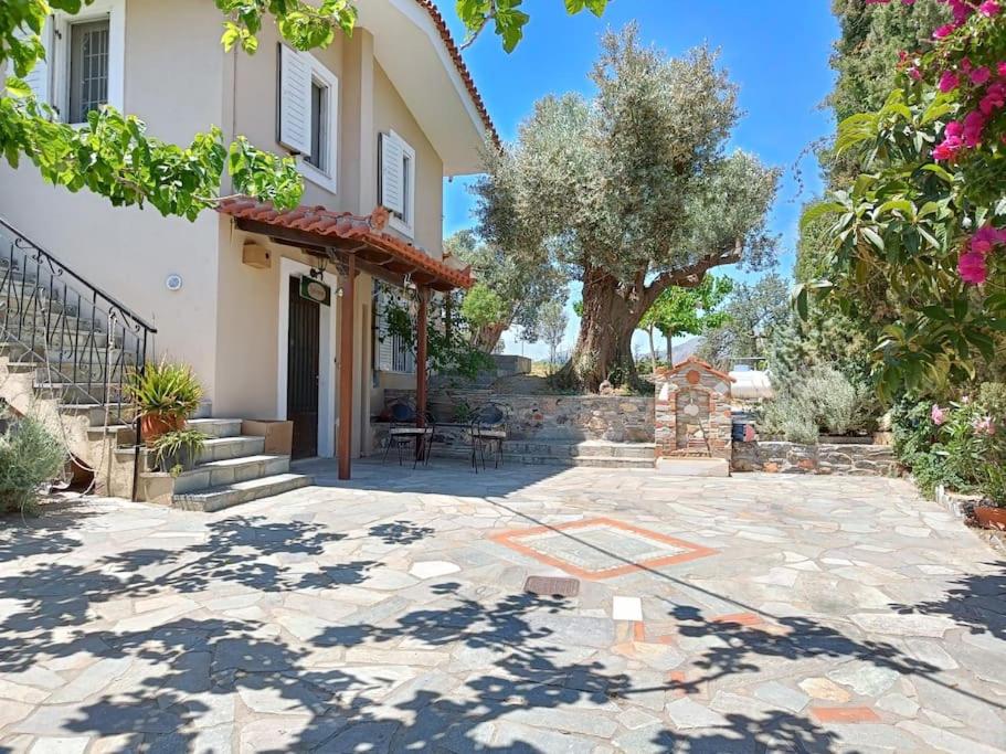 Kato Alonia Home, Áno Váthia (updated prices 2026)