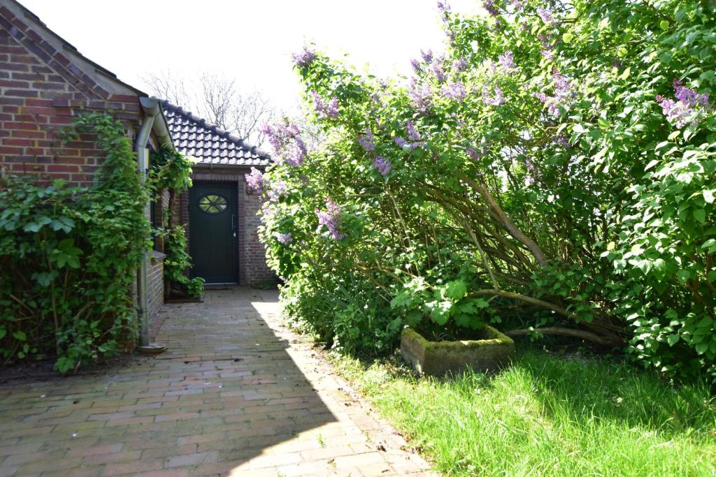 Haus Küstersmatt am Deich - Minsen, Minsen (aktualisierte Preise für 2025)