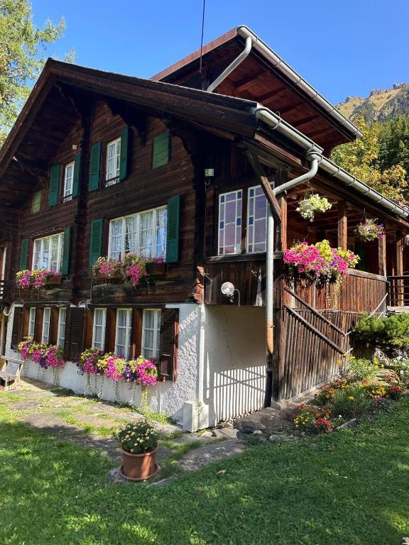 Switzerland Traditional Houses