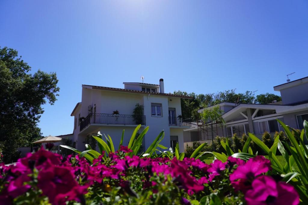Romana Guest House, Infernetto (updated prices 2024)