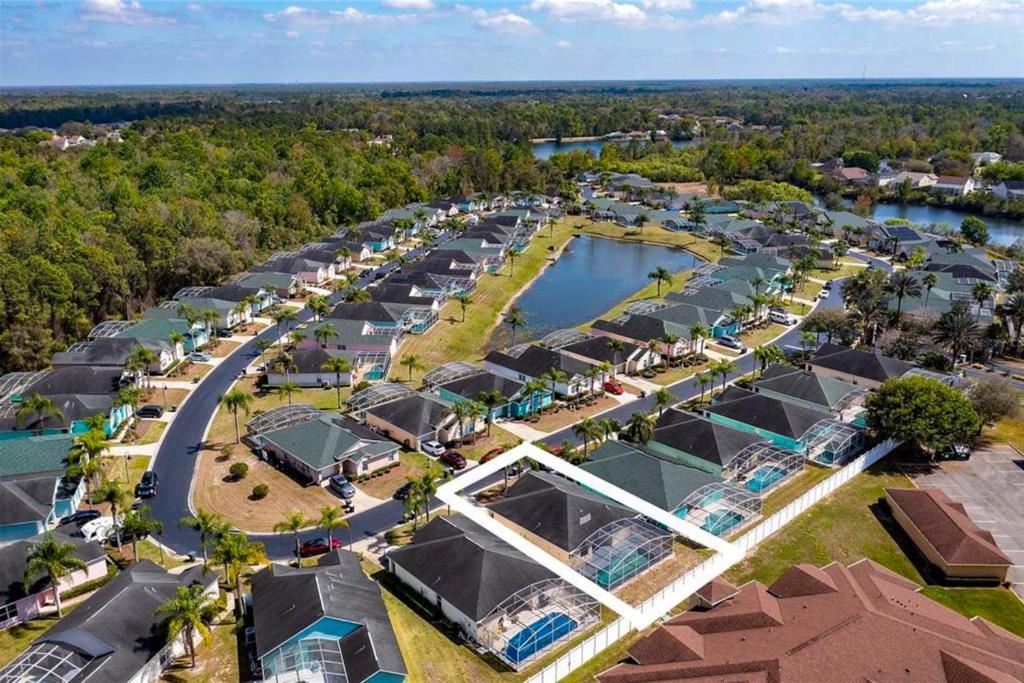 Gathering Under the Palms, Davenport (updated prices 2026)