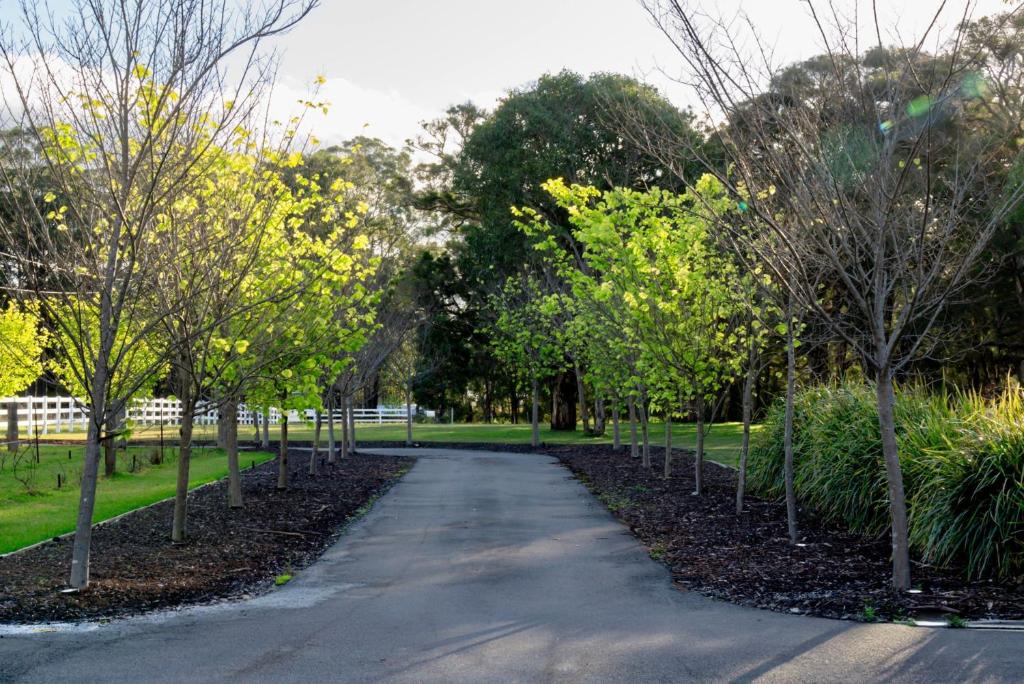 Whitevale Luxury Estate, Lovedale (updated prices 2025)