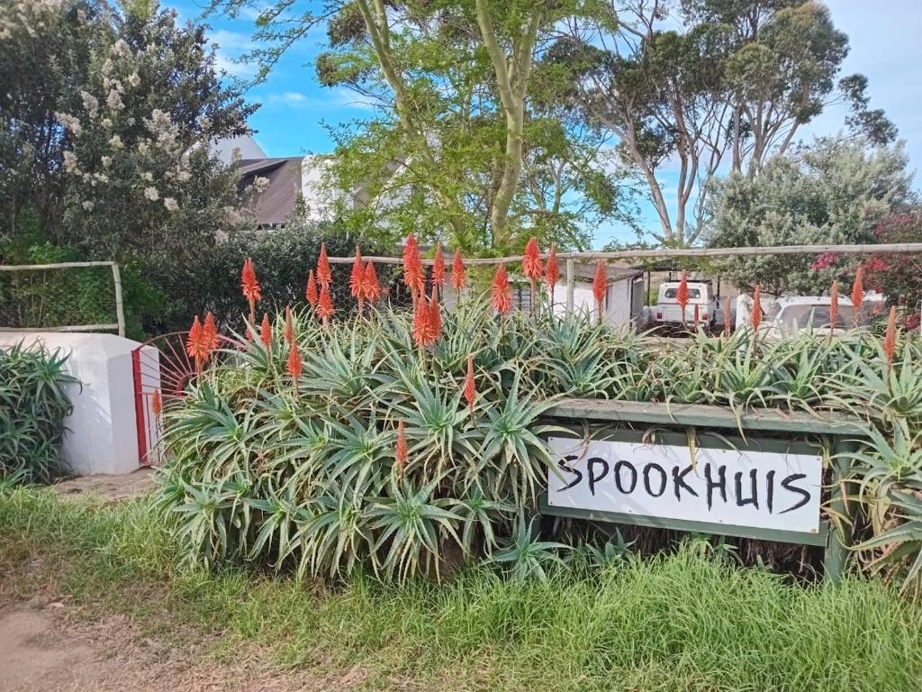 Spookhuis, Napier (updated prices 2026)